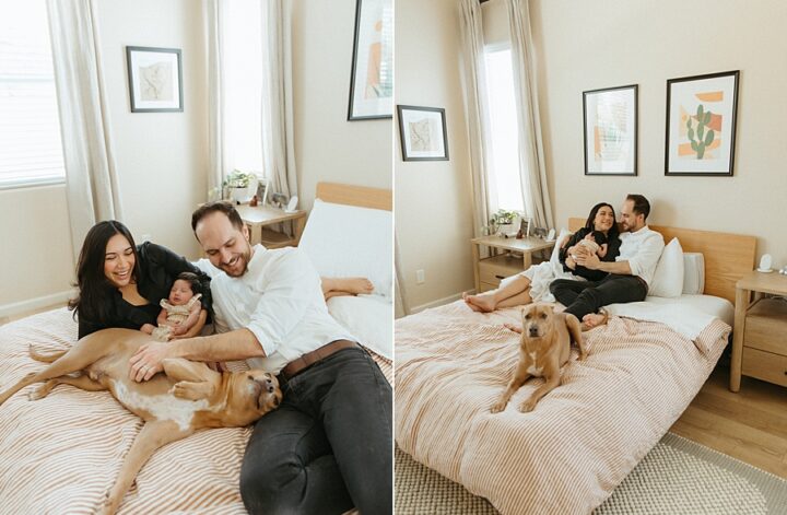 Genevieve Elaine Photography